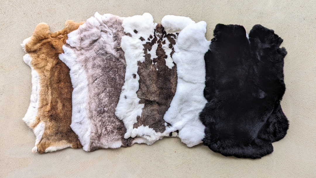 Rex Rabbit Pelt - Etsy