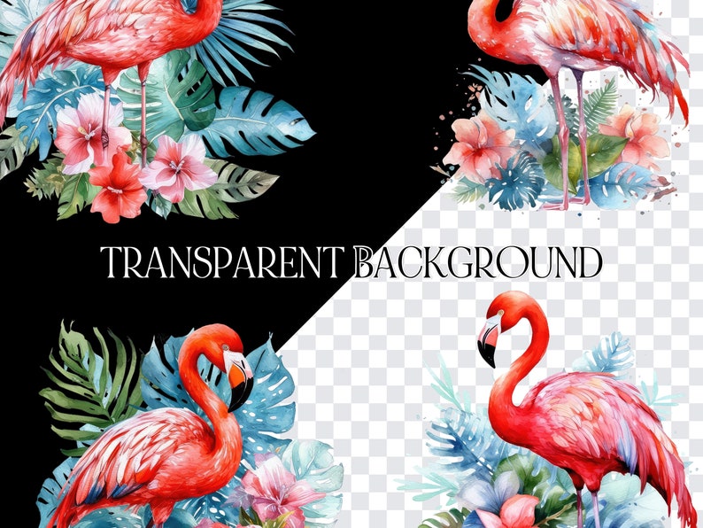 11 Tropical Flamingo Clipart PNG, Commercial Use Flamingo Clipart ...