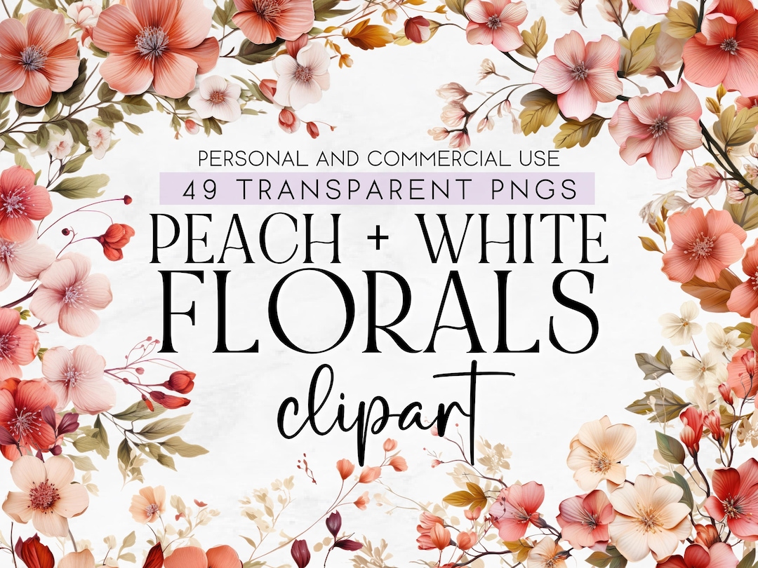 49 Peach and White Floral Clipart Corner Bundle, Dainty Floral Corner ...
