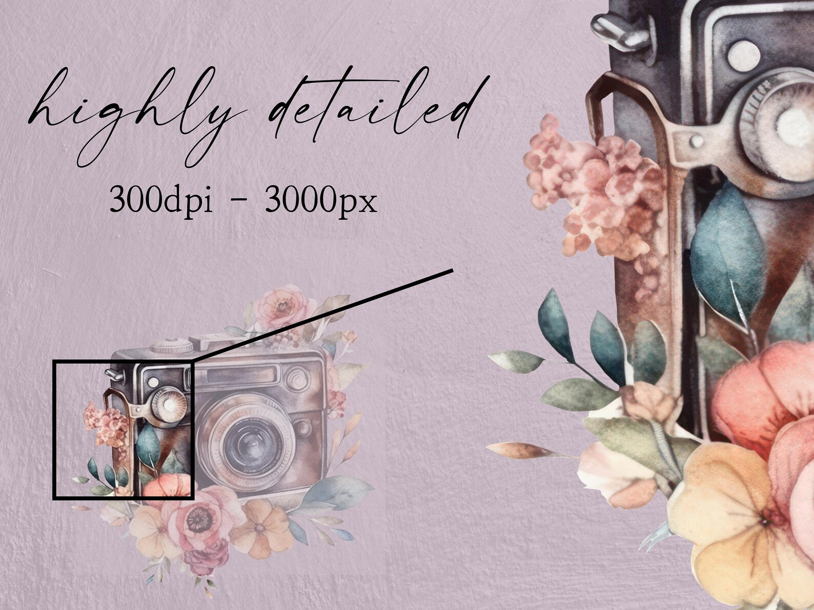 Vintage Camera Florals Clipart Watercolor Vintage Camera Clipart ...