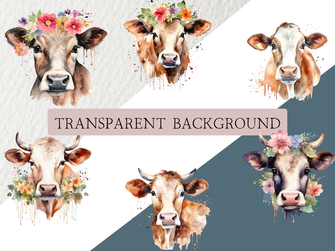 Cow Watercolor Clipart | Watercolor Cow and Flower Bundle Clipart | Cow ...