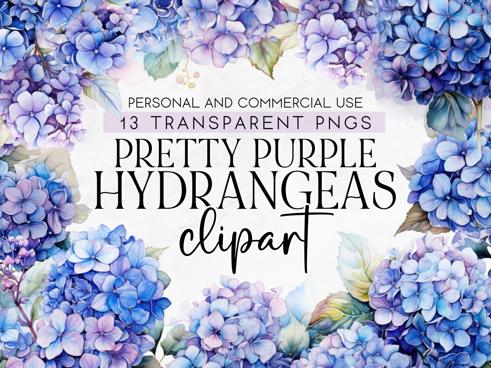 13 Pretty Purple Hydrangeas Clipart, Commercial Use Clipart ...