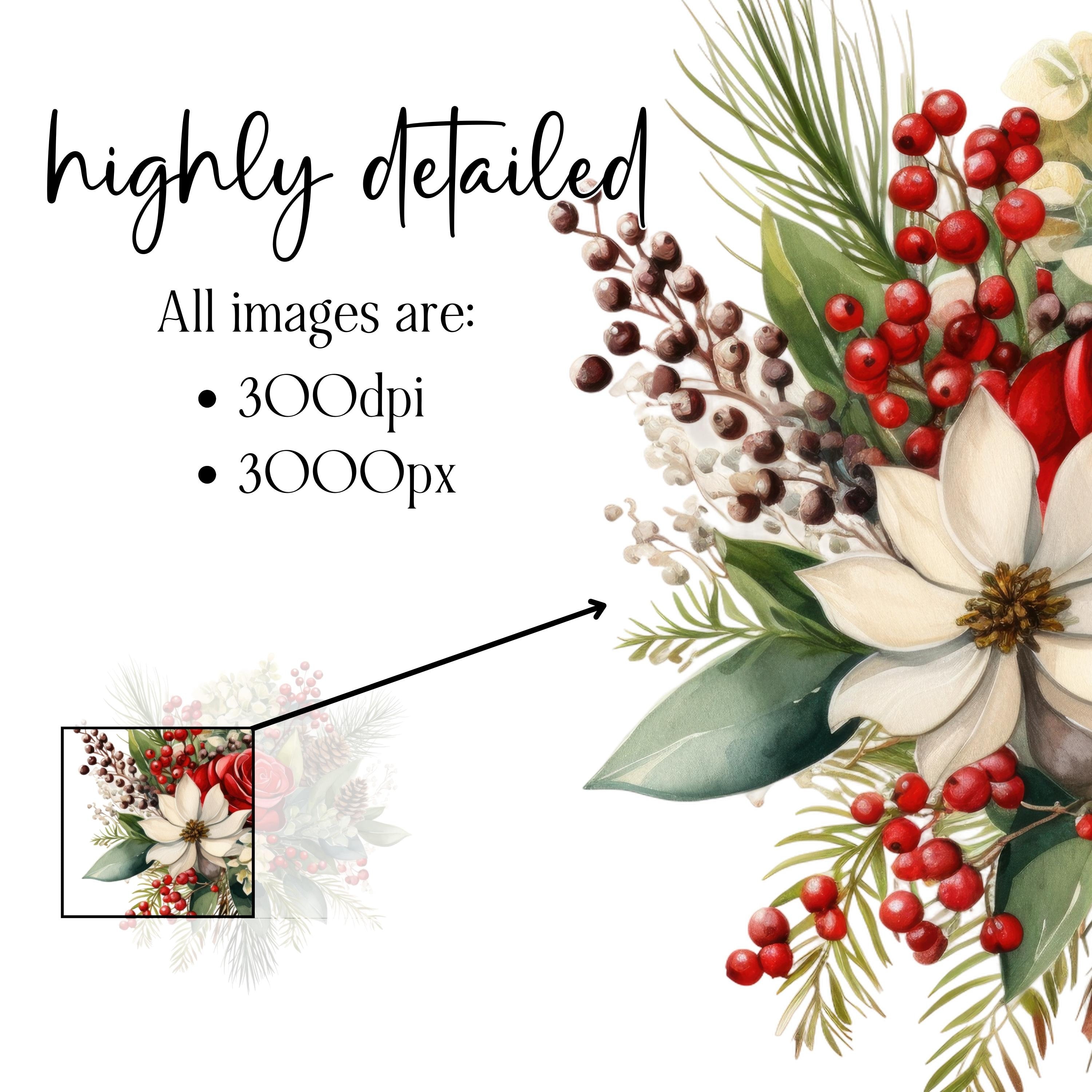 16 Traditional Christmas Floral Clipart, Christmas Floral Watercolor ...