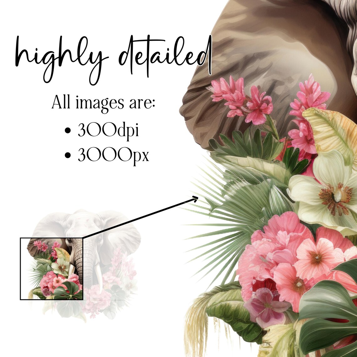 Pink Jungle Animals Clipart Collection, Jungle Safari Clipart ...