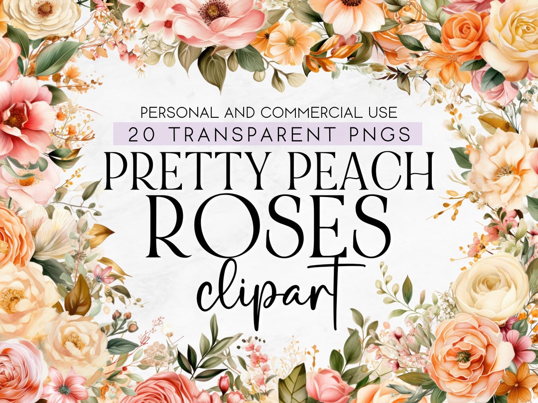 20 Peach Rose Clipart, Peach Wedding Flowers Clipart, Commercial Use ...
