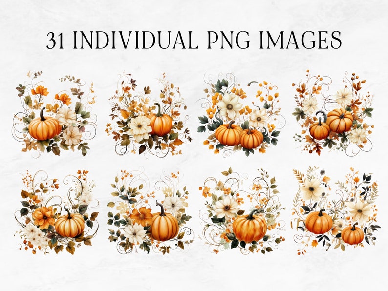 31 Pumpkin and Vines Fall Clipart, Commercial Use Clipart, Transparent ...