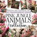 Pink Jungle Animals Clipart Collection, Jungle Safari Clipart ...