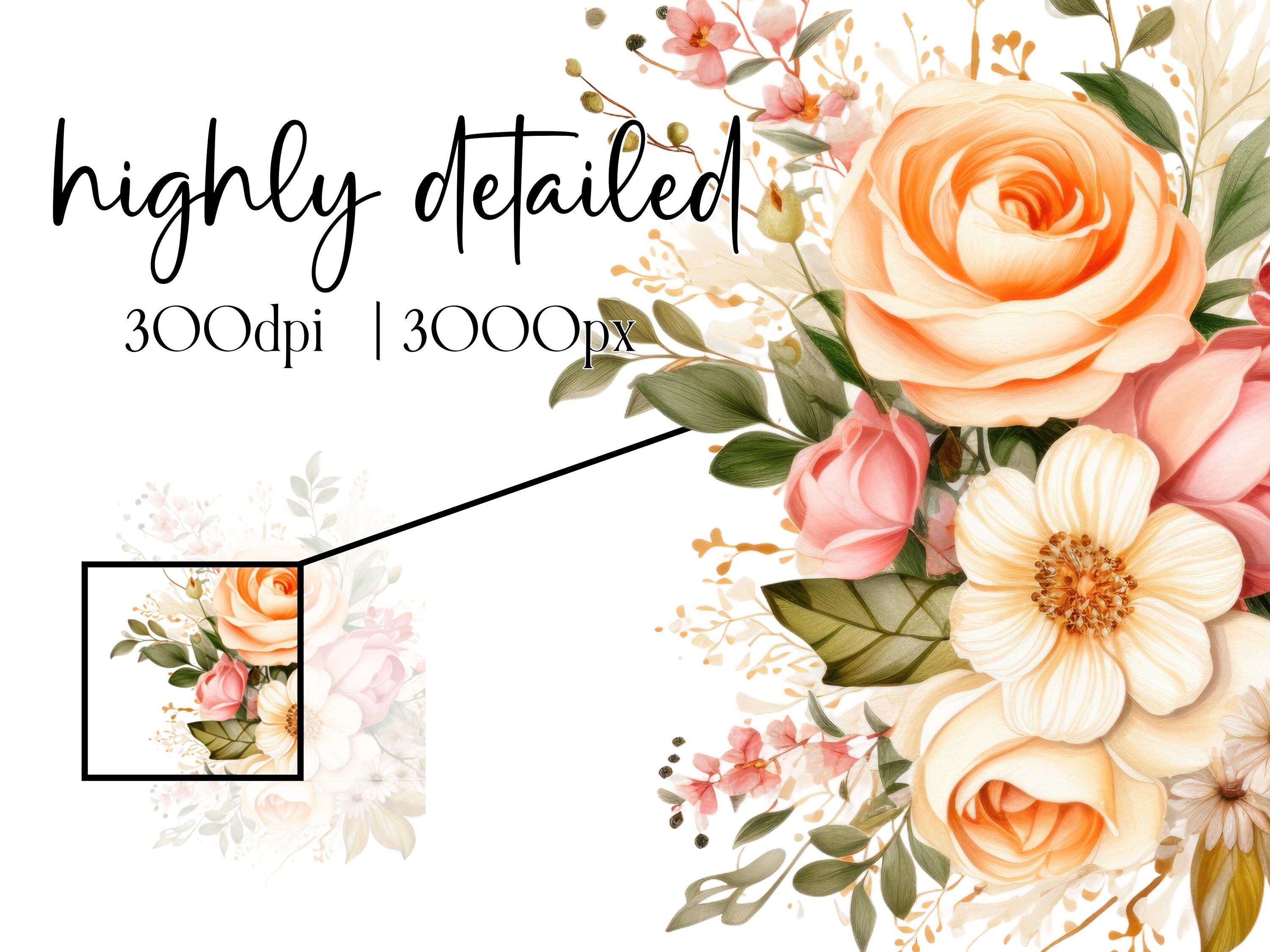20 Peach Rose Clipart, Peach Wedding Flowers Clipart, Commercial Use ...