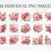 26 Pink Peony Bouquet, Floral Clipart Peonies, Commercial Use Clipart ...