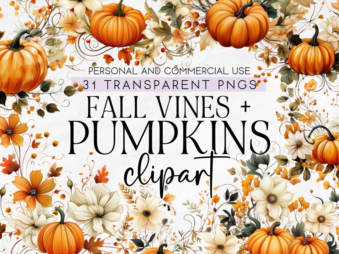 31 Pumpkin and Vines Fall Clipart, Commercial Use Clipart, Transparent ...