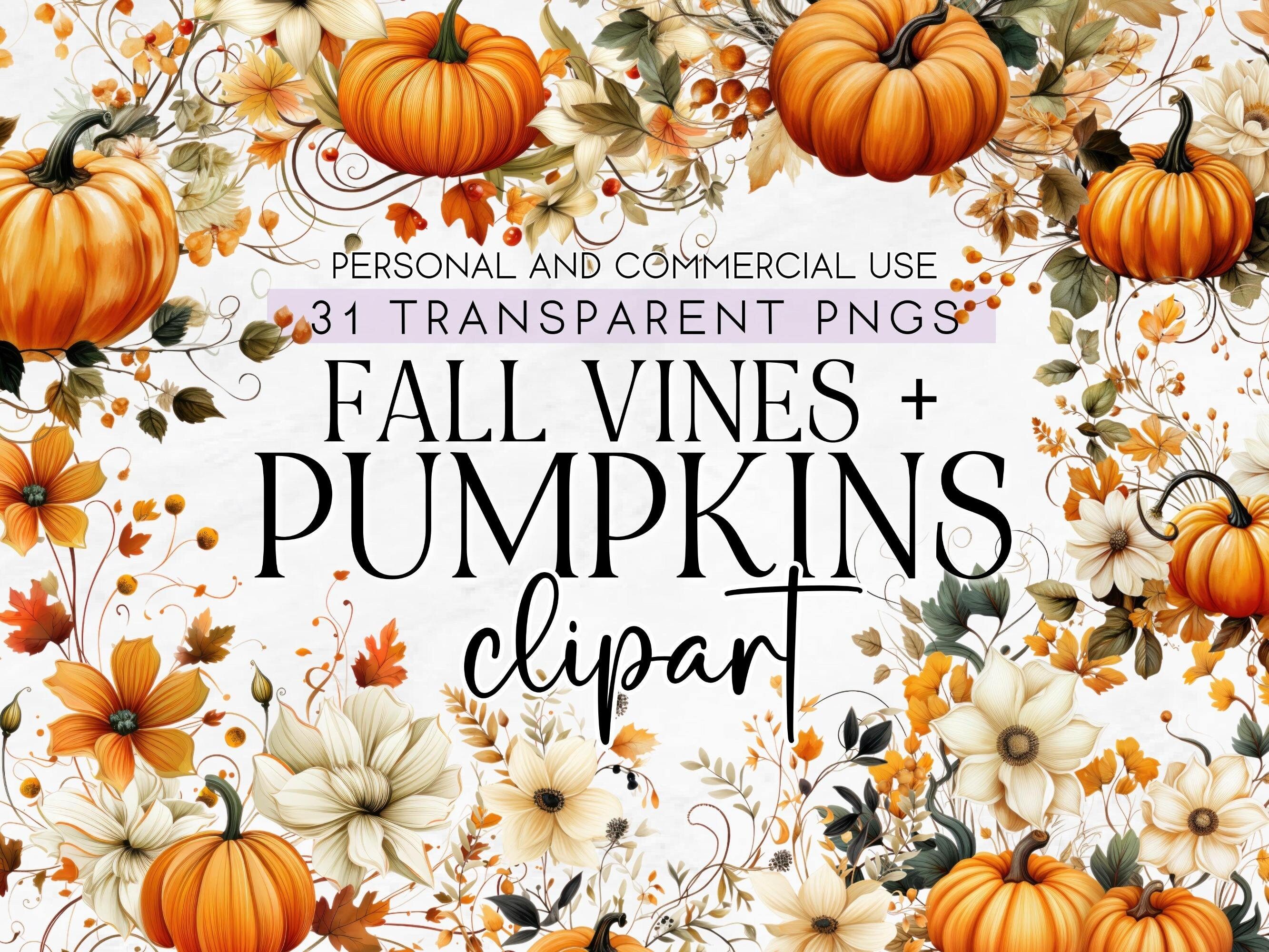 31 Pumpkin and Vines Fall Clipart, Commercial Use Clipart, Transparent ...