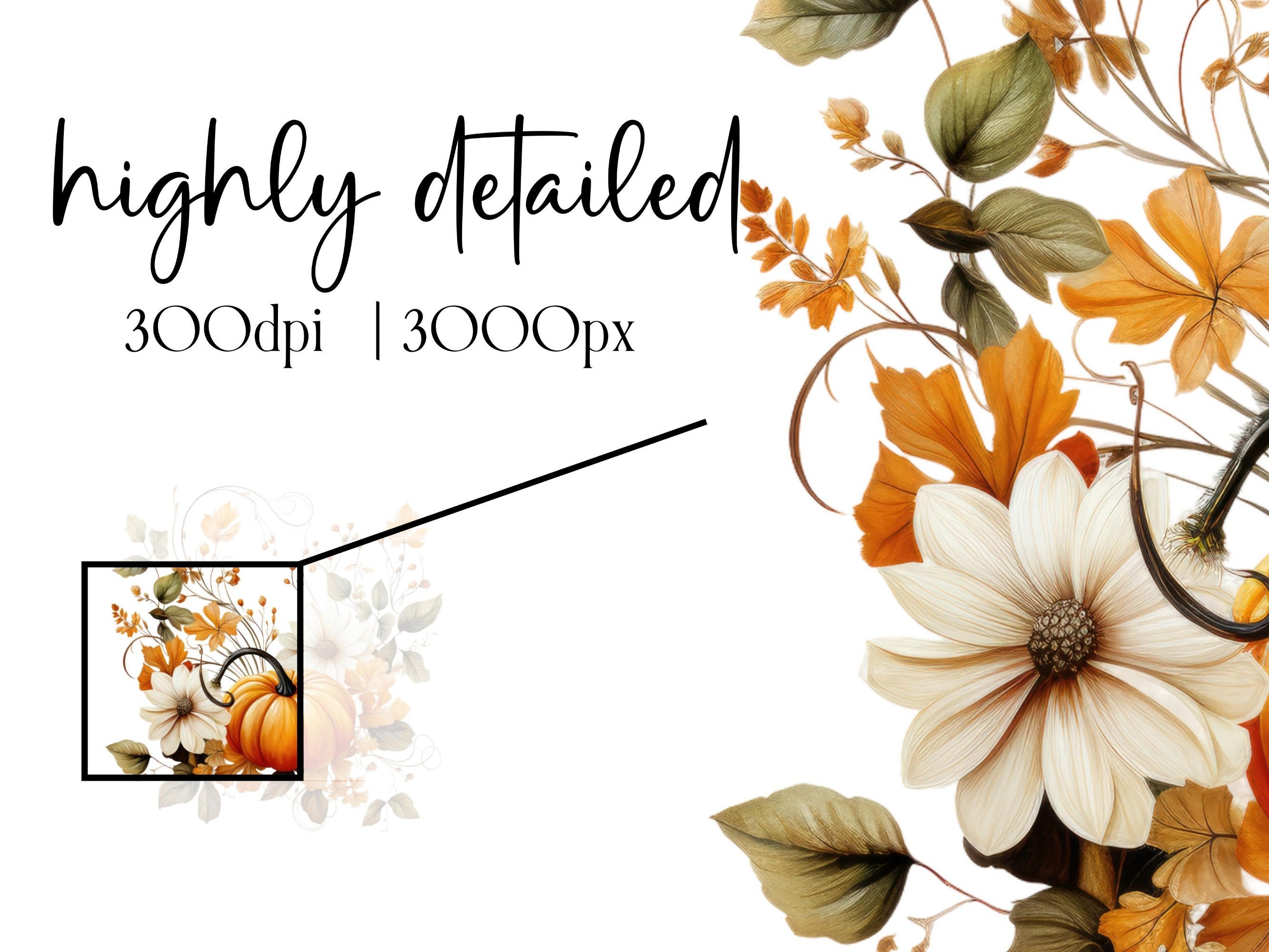 31 Pumpkin and Vines Fall Clipart, Commercial Use Clipart, Transparent ...