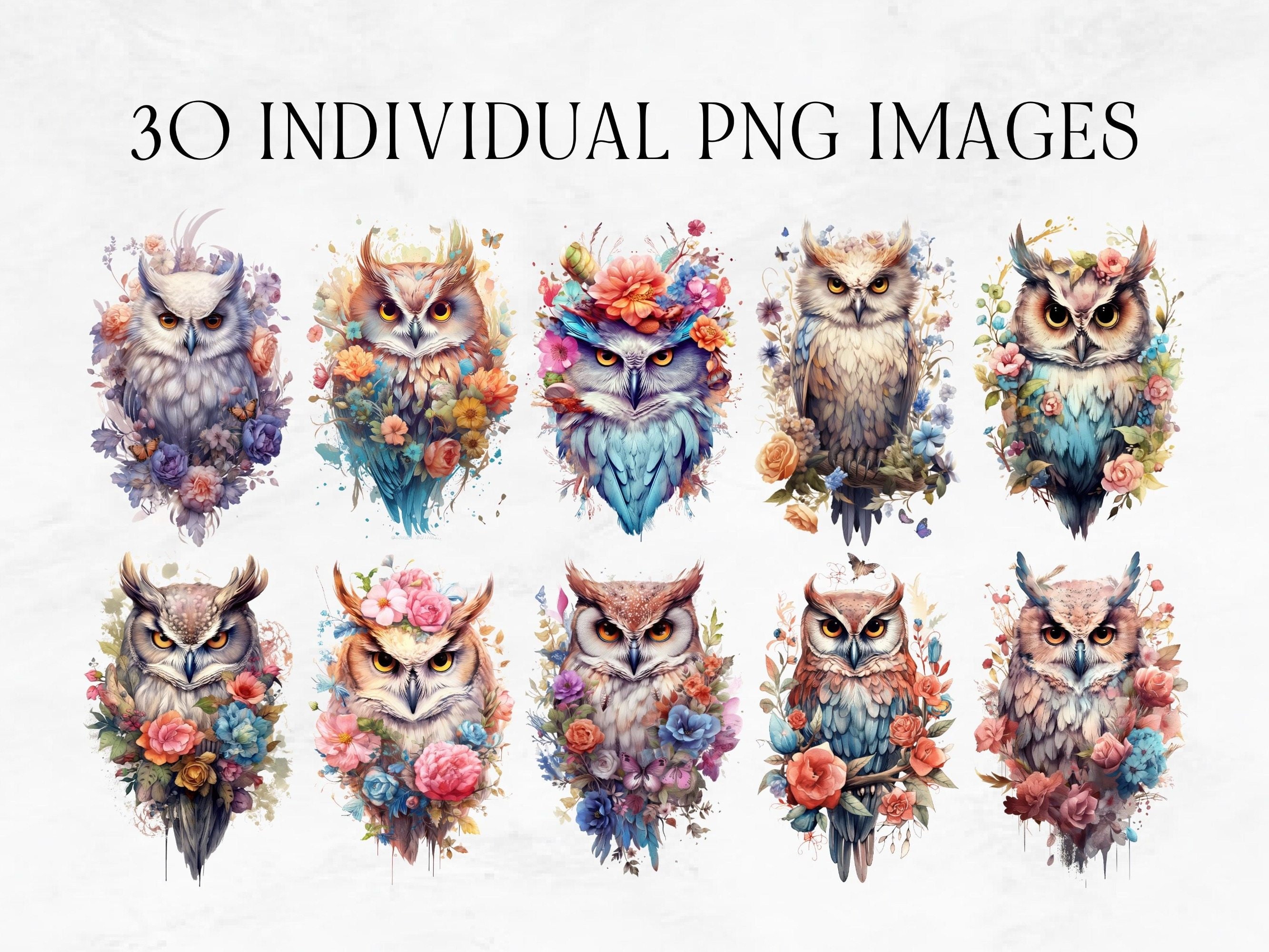 30 Woodland Owls and Flowers Clipart Woodland Animals - Etsy