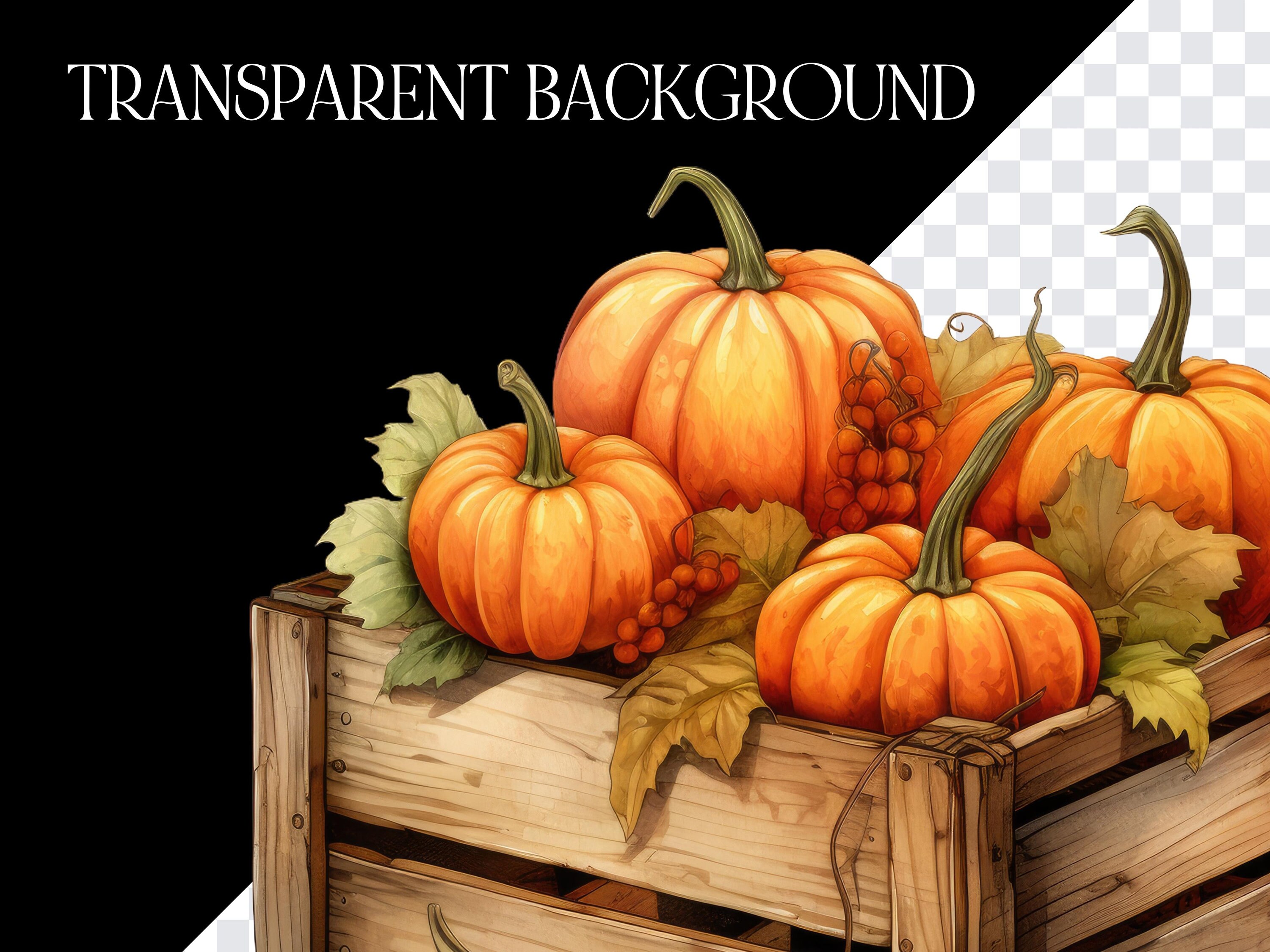 19 Crate of Pumpkins Fall Clipart, Farm Fresh Clipart, Autumn Clipart ...