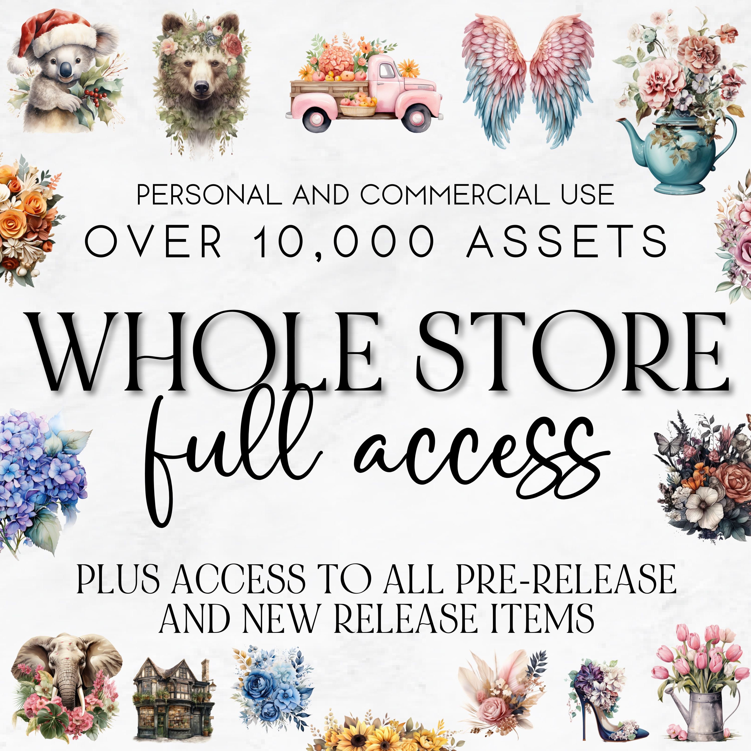 WHOLE SHOP Clipart Bundle, 10,000+ Assets, Entire Store Bundle All ...