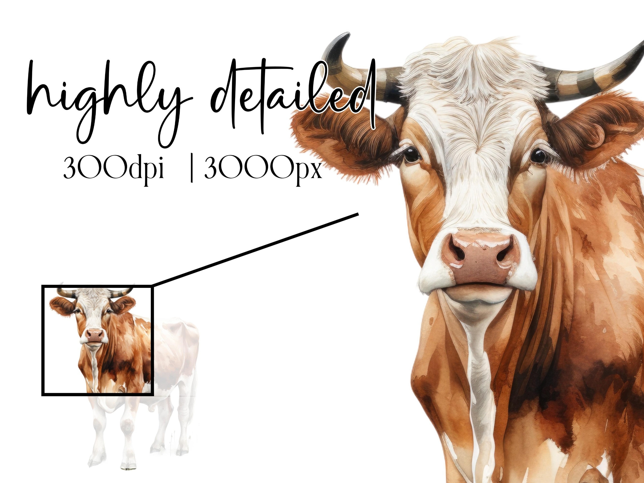 12 Cute Cow Clipart, Commercial Use Clipart, Transparent PNG, Cute ...
