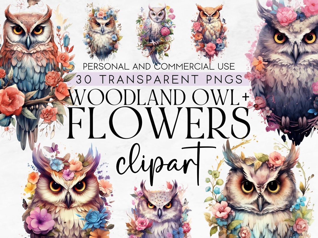 30 Woodland Owls and Flowers Clipart, Woodland Animals Clipart ...