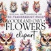 30 Woodland Owls and Flowers Clipart, Woodland Animals Clipart ...