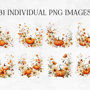 31 Pumpkin and Vines Fall Clipart, Commercial Use Clipart, Transparent ...
