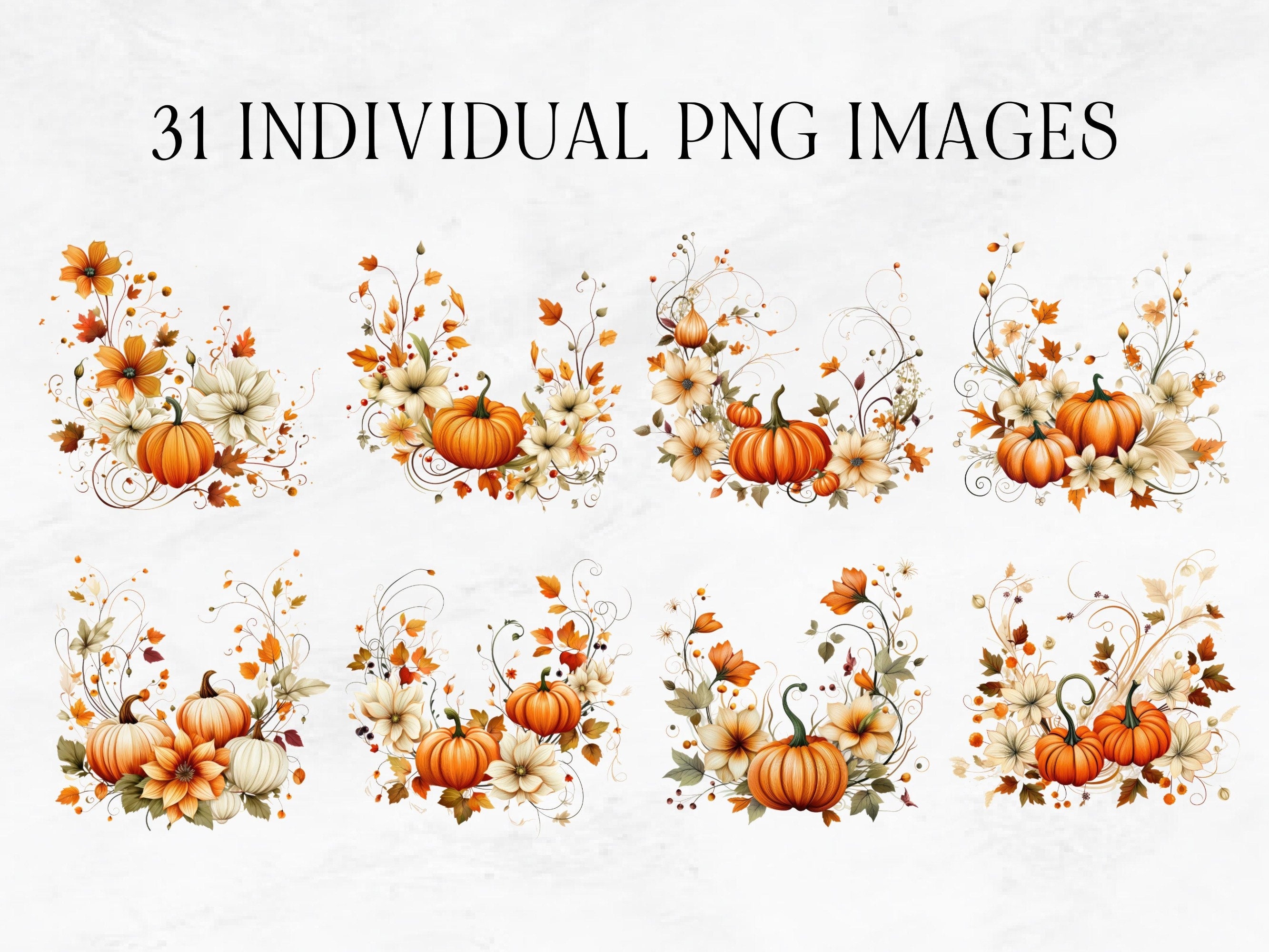 31 Pumpkin and Vines Fall Clipart, Commercial Use Clipart, Transparent ...