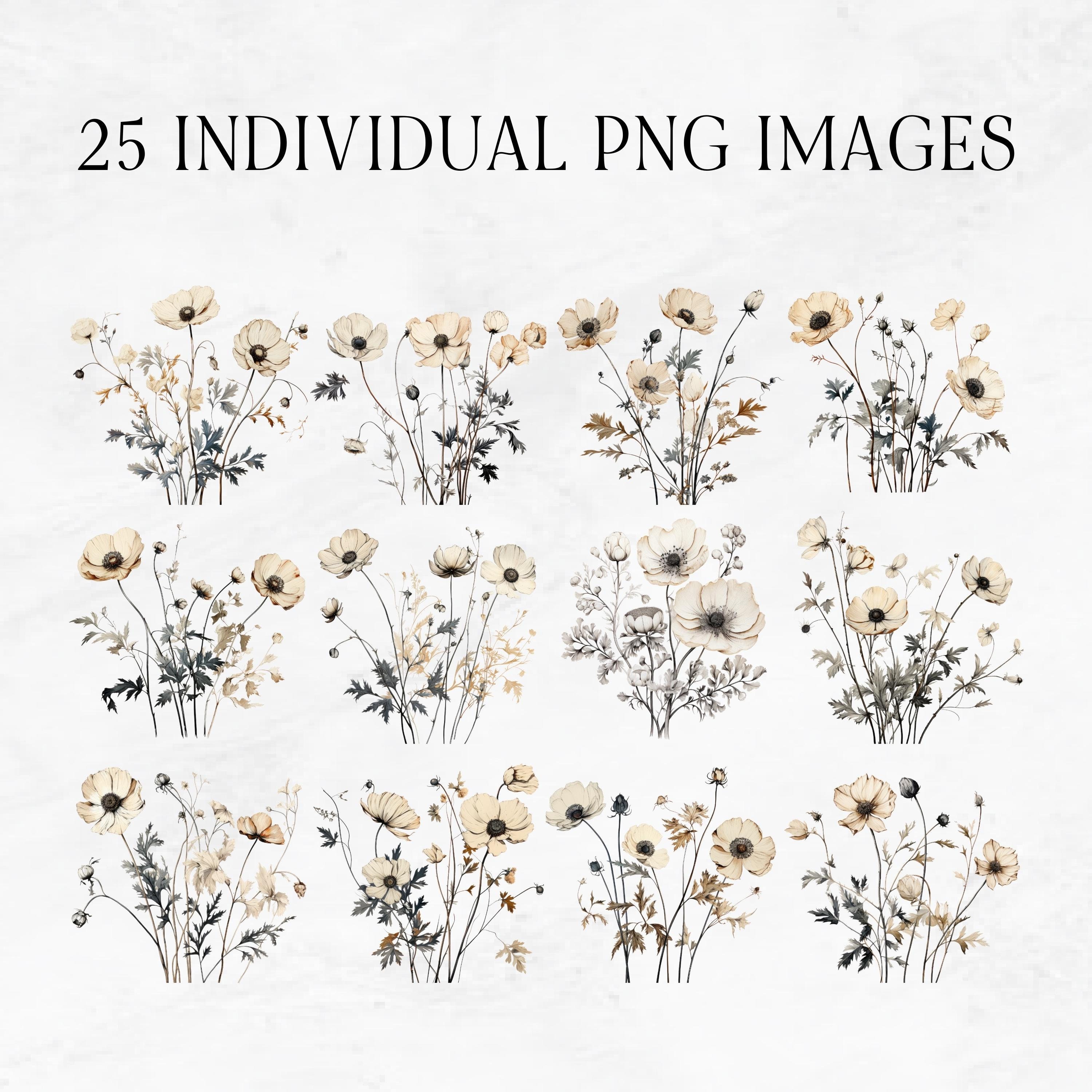 25 Wildflower Clipart Black and White, Black and White Floral Clipart ...
