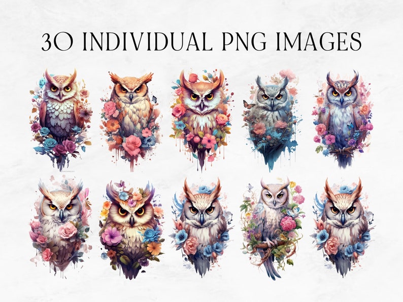 30 Woodland Owls and Flowers Clipart, Woodland Animals Clipart ...