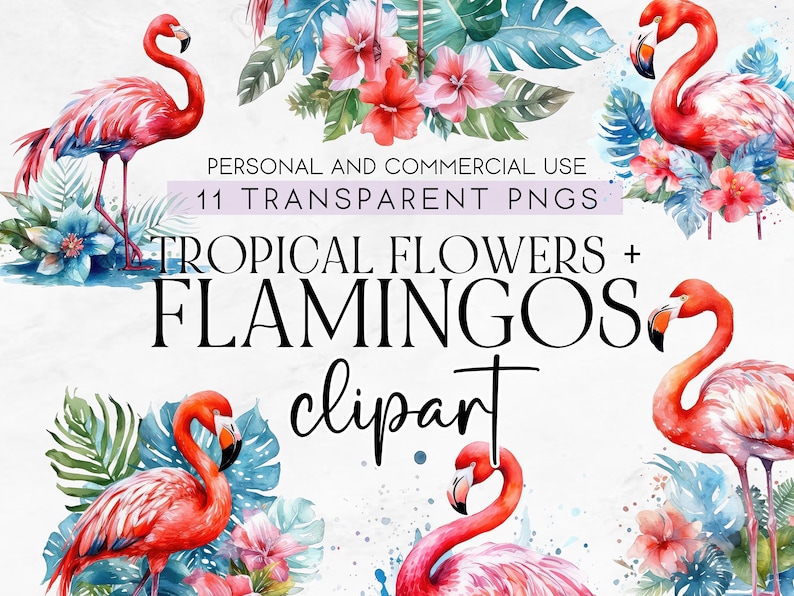 11 Tropical Flamingo Clipart PNG, Commercial Use Flamingo Clipart ...