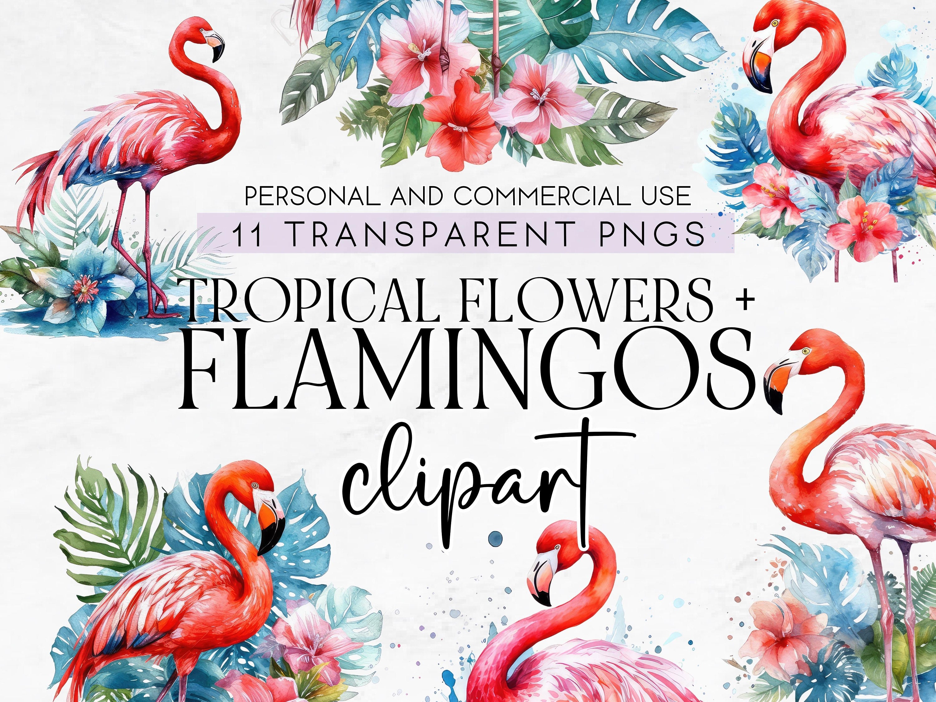 11 Tropical Flamingo Clipart PNG, Commercial Use Flamingo Clipart ...