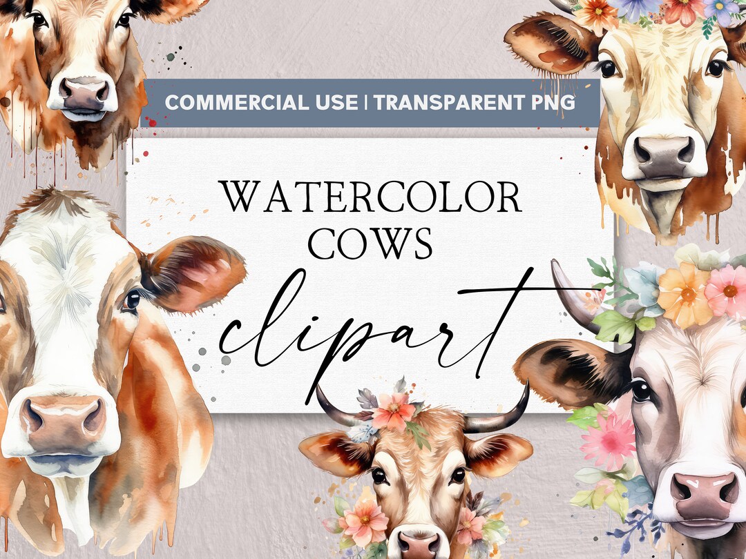Cow Watercolor Clipart | Watercolor Cow and Flower Bundle Clipart | Cow ...