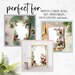 20 Christmas Floral Border, Christmas Page Border, Christmas Frame ...
