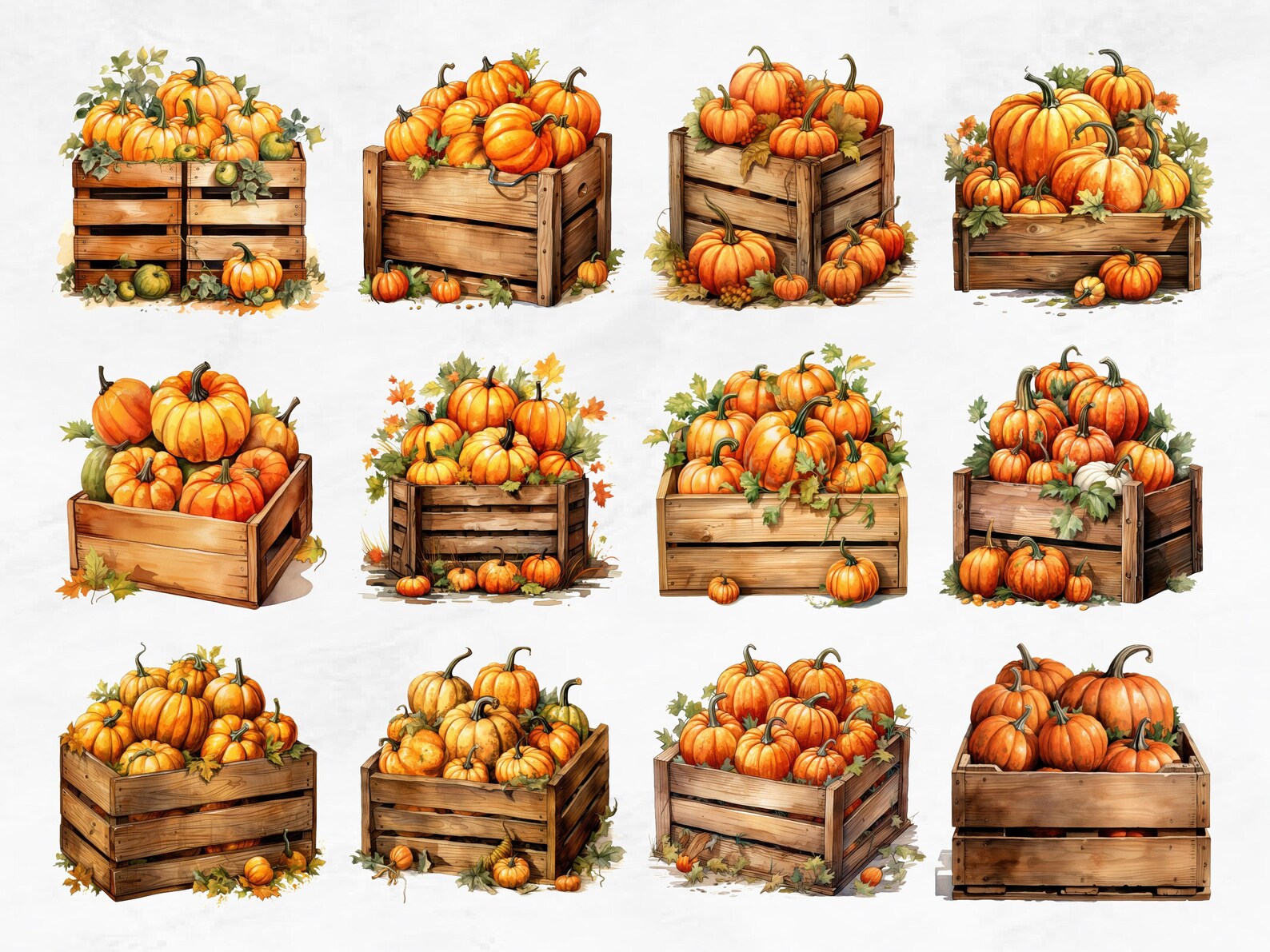 19 Crate of Pumpkins Fall Clipart, Farm Fresh Clipart, Autumn Clipart ...