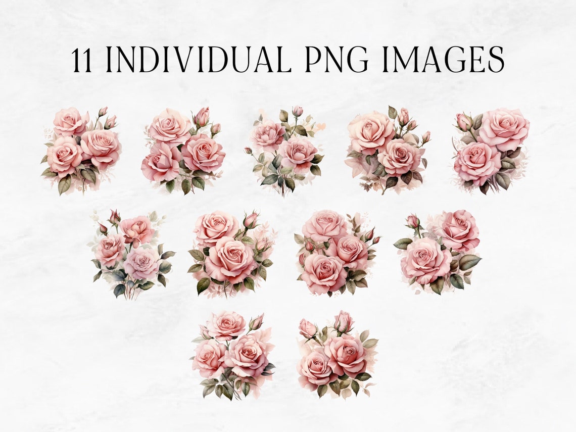 11 Light Pink Roses Clipart, Commercial Use Clipart, Transparent PNG ...