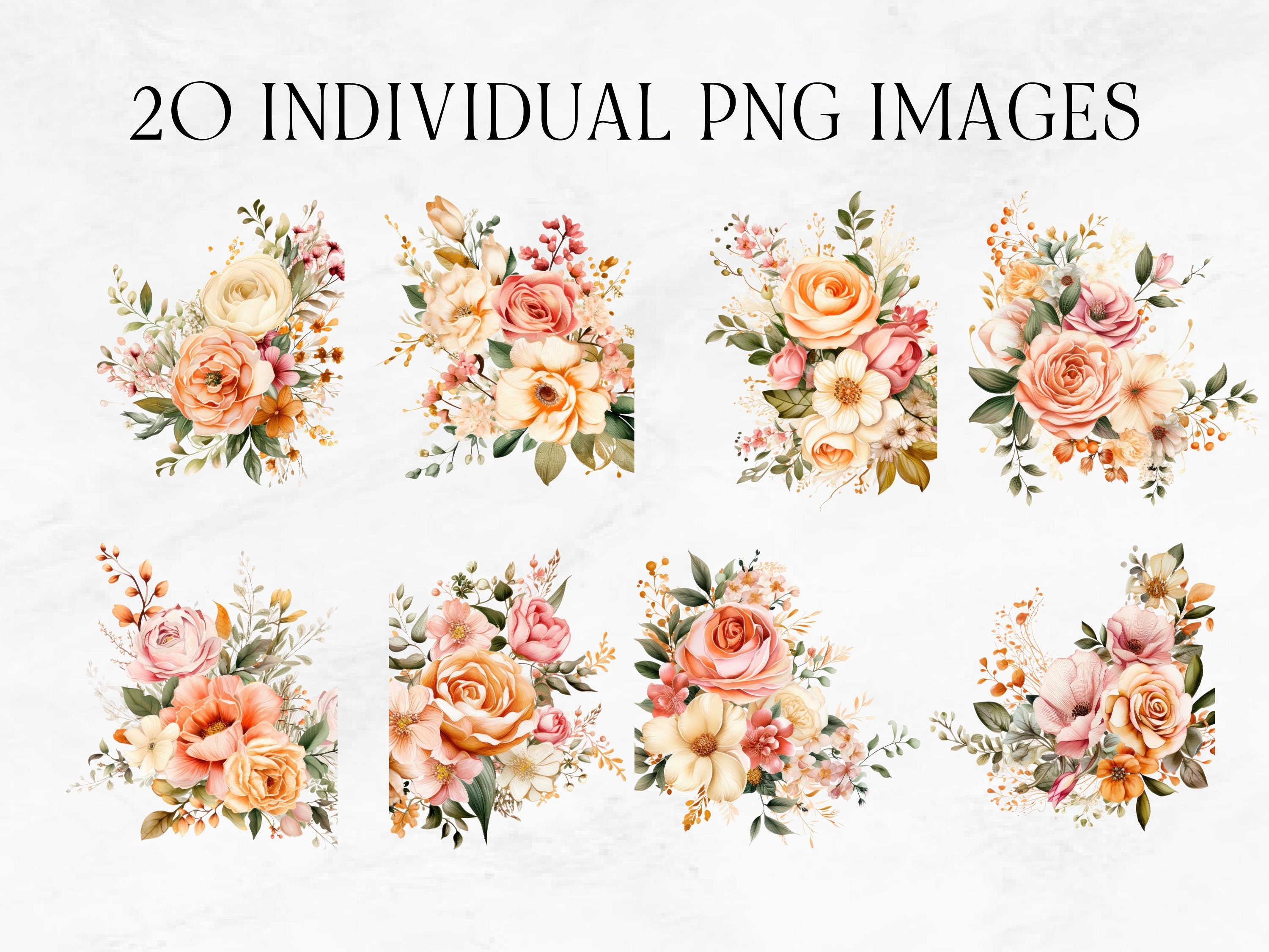20 Peach Rose Clipart, Peach Wedding Flowers Clipart, Commercial Use ...