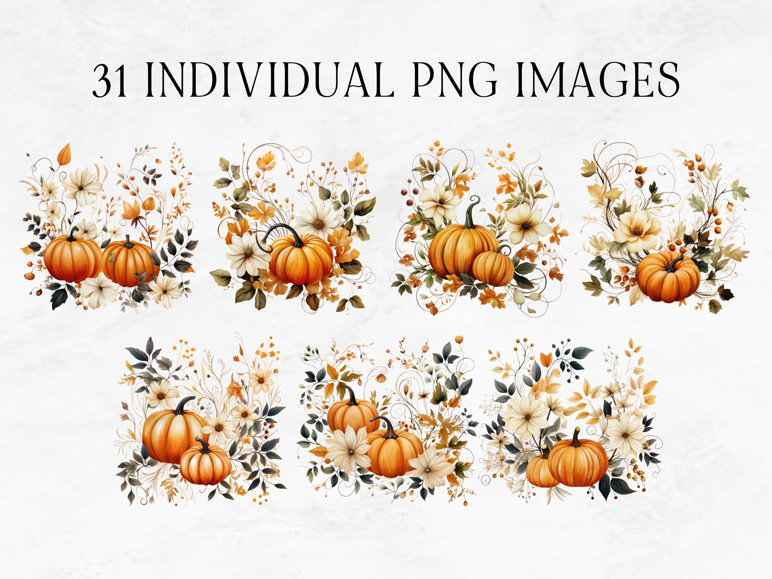 31 Pumpkin and Vines Fall Clipart, Commercial Use Clipart, Transparent ...