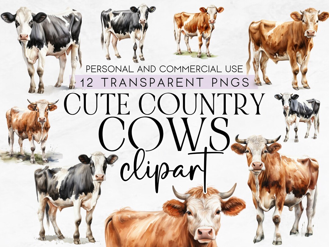 12 Cute Cow Clipart, Commercial Use Clipart, Transparent PNG, Cute ...
