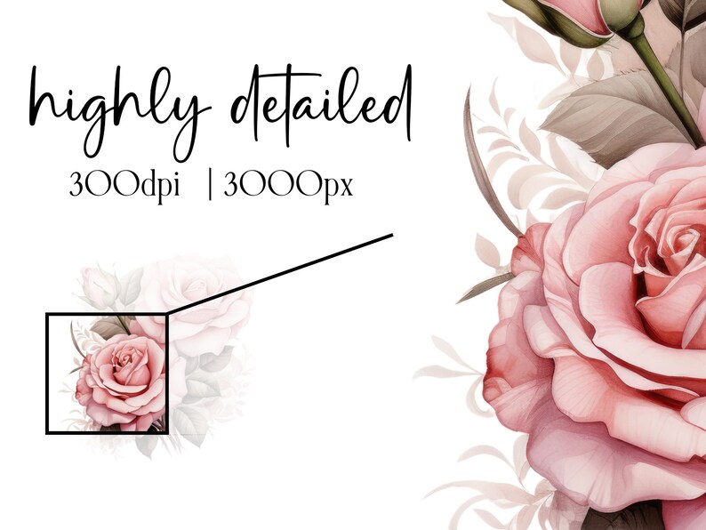 11 Light Pink Roses Clipart, Commercial Use Clipart, Transparent PNG ...