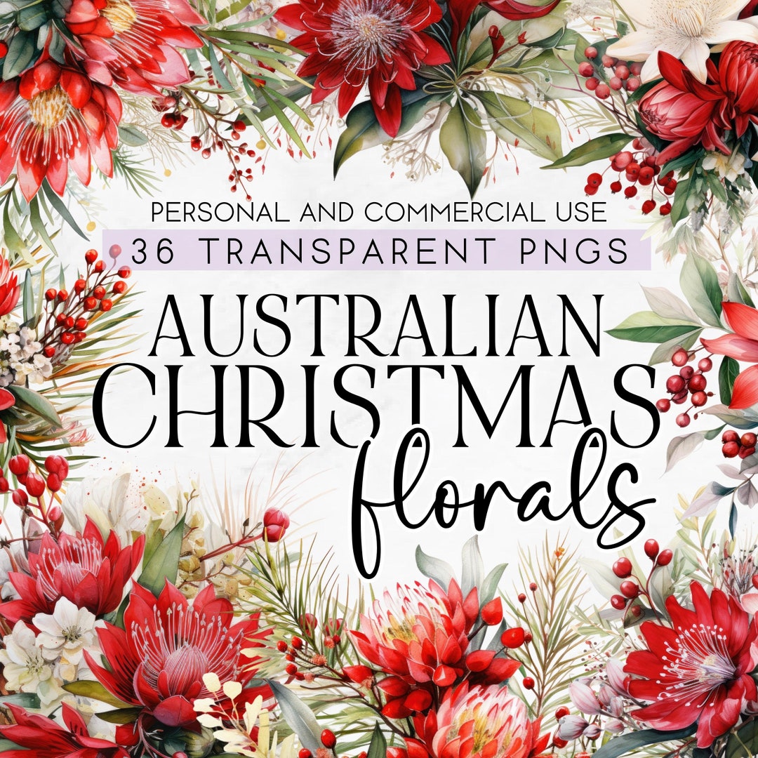 36 Australian Christmas Floral Clipart, Australian Native Flowers ...