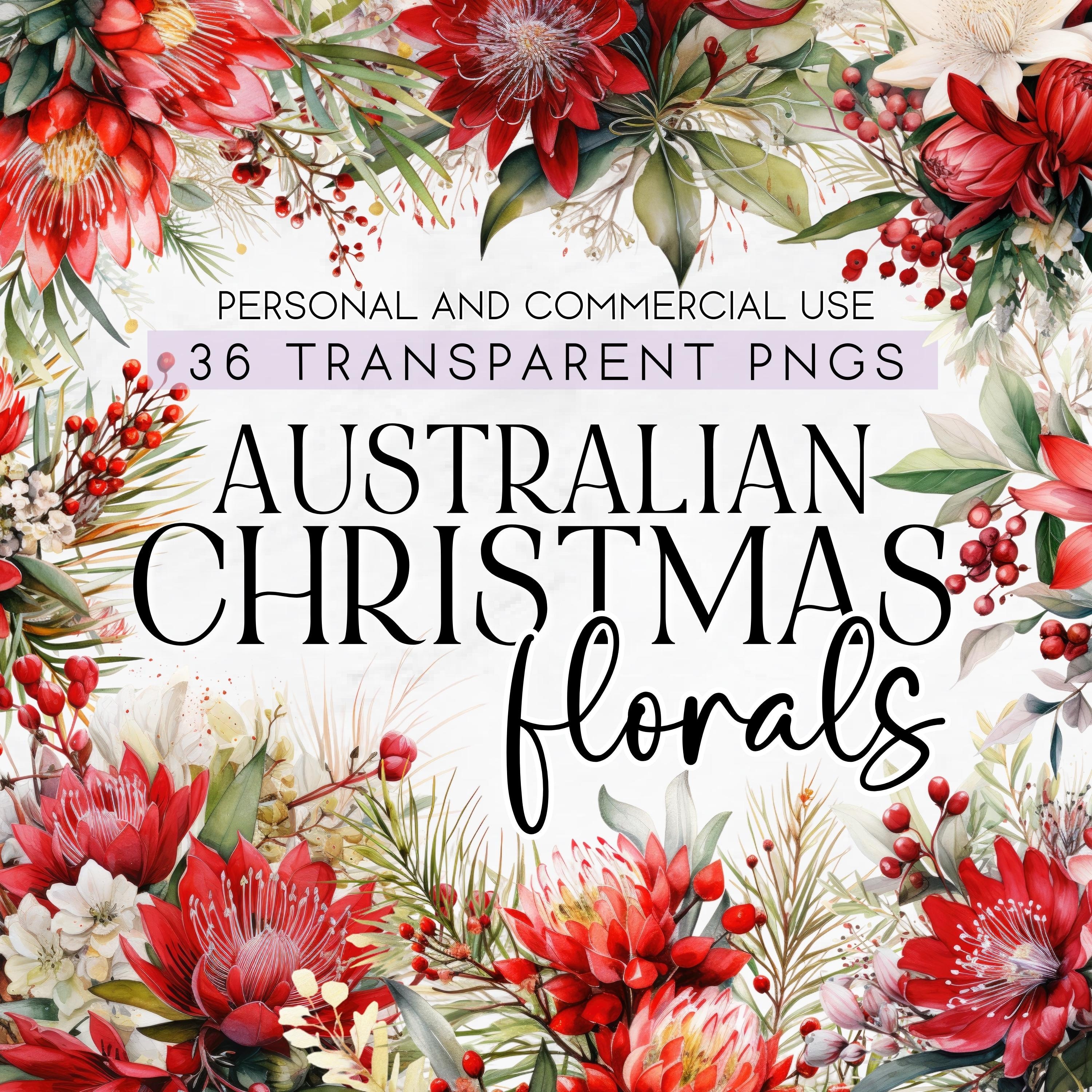 36 Australian Christmas Floral Clipart, Australian Native Flowers ...