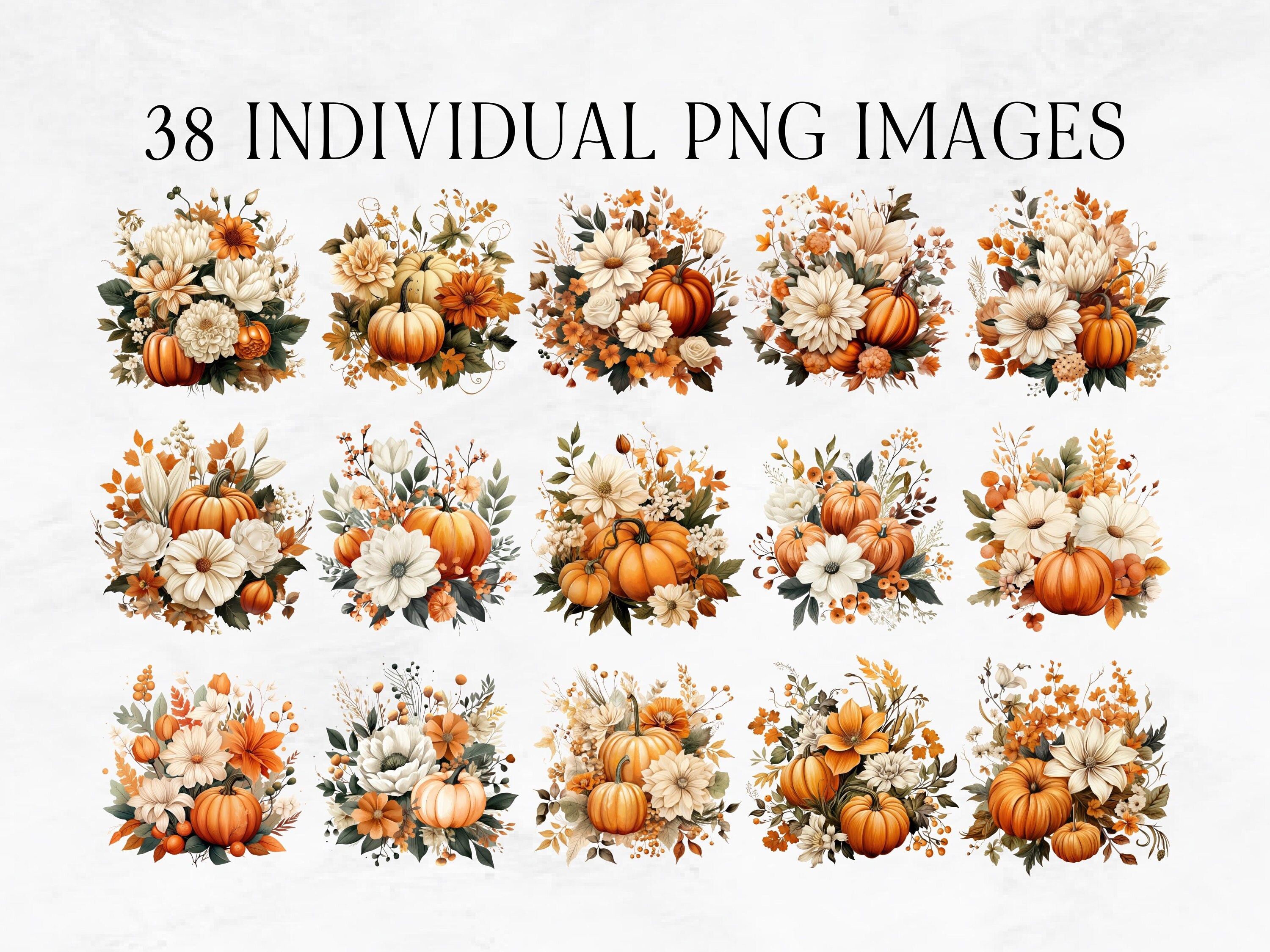38 Pumpkin Flower Clipart Fall Clipart Autumn Watercolor - Etsy