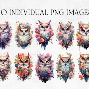 30 Woodland Owls and Flowers Clipart, Woodland Animals Clipart ...