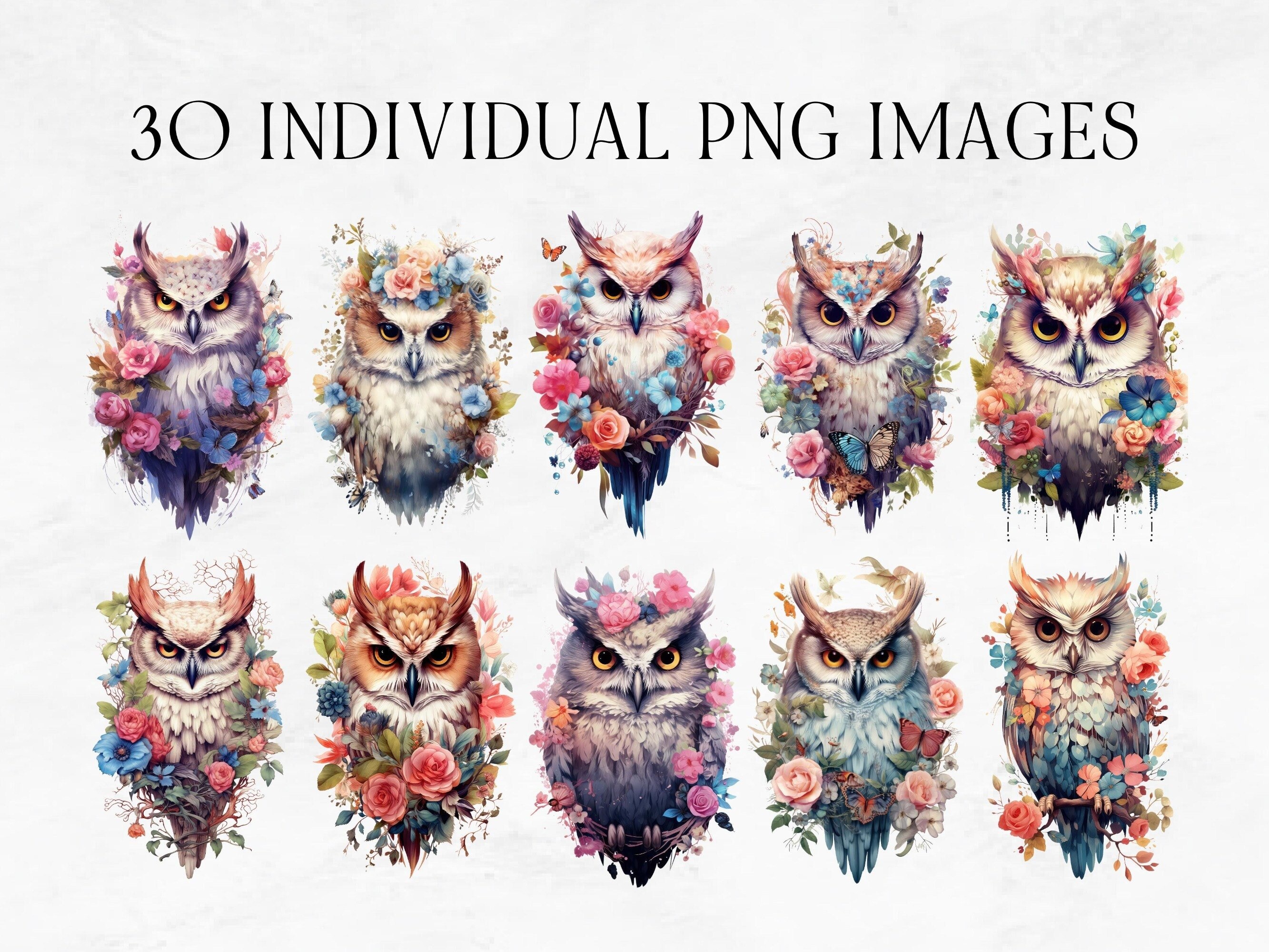 30 Woodland Owls and Flowers Clipart, Woodland Animals Clipart ...