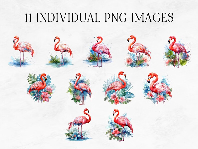 11 Tropical Flamingo Clipart PNG, Commercial Use Flamingo Clipart ...