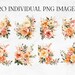 20 Peach Rose Clipart, Peach Wedding Flowers Clipart, Commercial Use ...