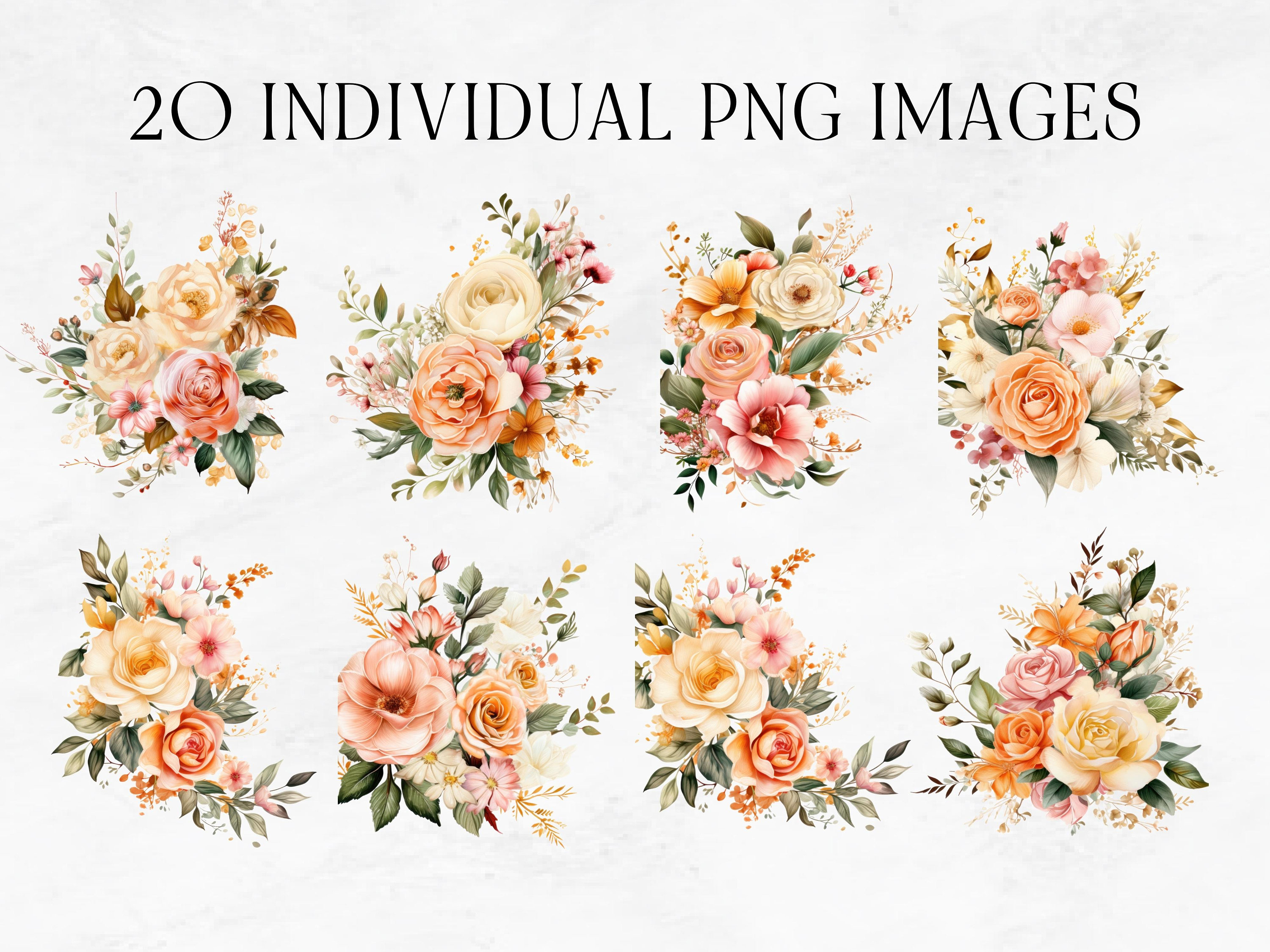 20 Peach Rose Clipart, Peach Wedding Flowers Clipart, Commercial Use ...
