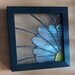 Daisy, Daisy..... - Etsy