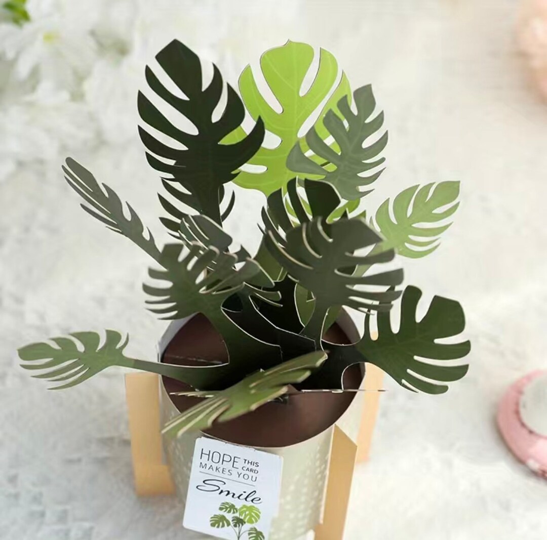 3D Monstera Plant Pop-up Card - Etsy