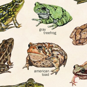 FROG ART PRINT 8x10 Vintage Poster Frog Decor - Etsy