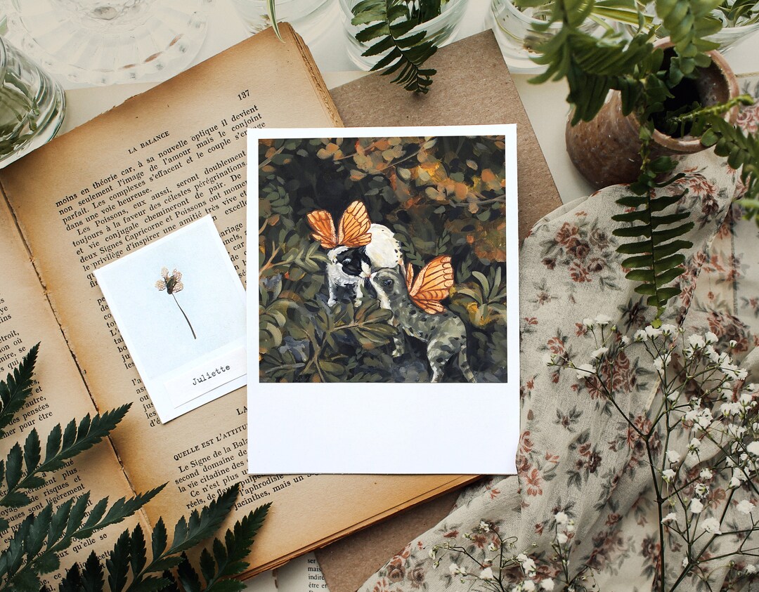 FAIRYCORE CAT PRINT 4x5 Fairy Cat Art Print Cat Kissing Art Cottagecore ...