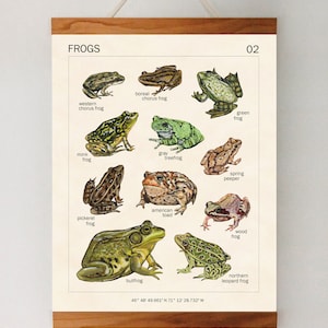 FROG ART PRINT - 8x10 - Vintage Poster - Frog Decor - Cottagecore Room ...