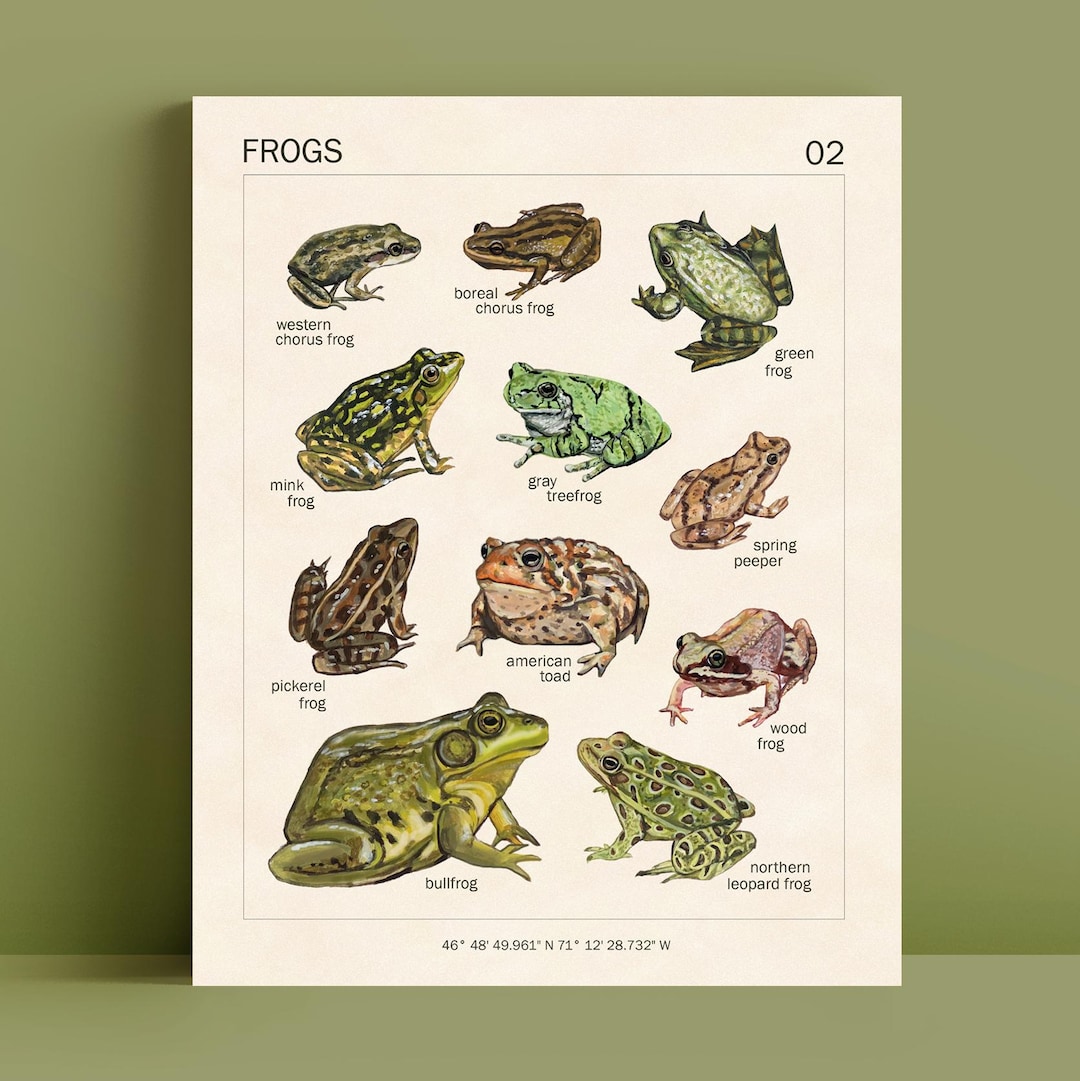 FROG ART PRINT - 8x10 - Vintage Poster - Frog Decor - Cottagecore Room ...